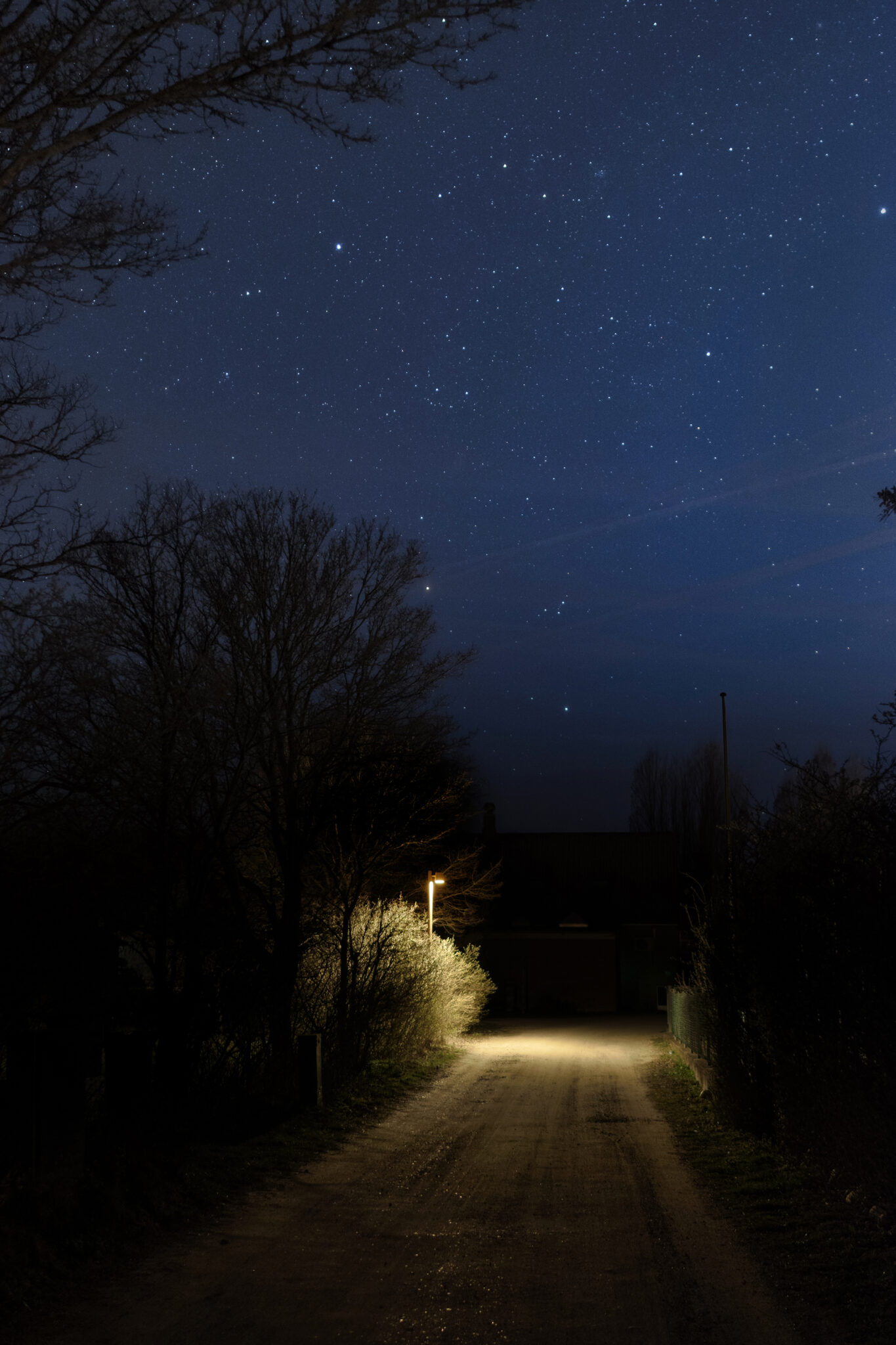 Illuminating Engineering Society: Advancing Lighting Standards ...